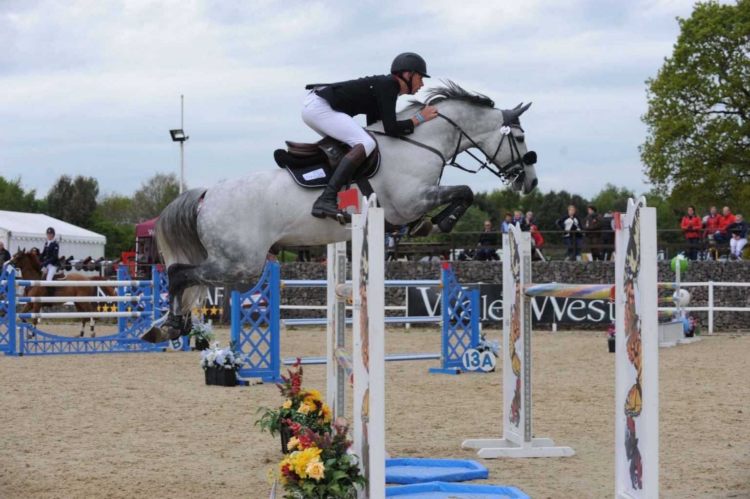 Our Sponsored British Showjumper: Joseph Stockdale | Charles Elliott ...